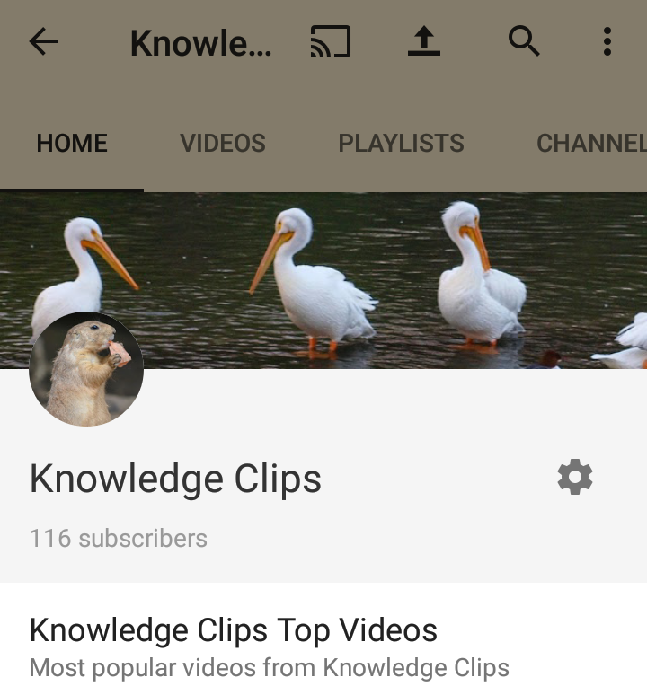 YouTube Knowledge Clips - Knowledge Clips