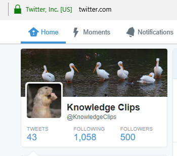 Twitter Followers Hit 500 - Knowledge Clips